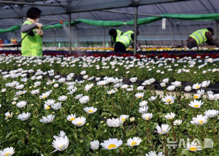 부산 대체로 맑은 날씨…낮 최고기온 12도