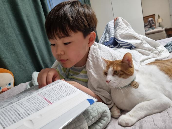 전생에 인연?…집에 데려왔더니 아들과 '케미 폭발'한 길고양이