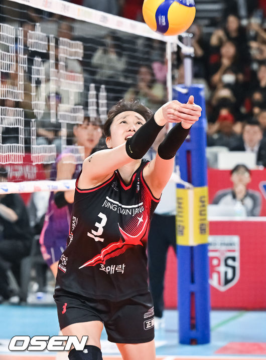 부상 투혼 염혜선 [사진]