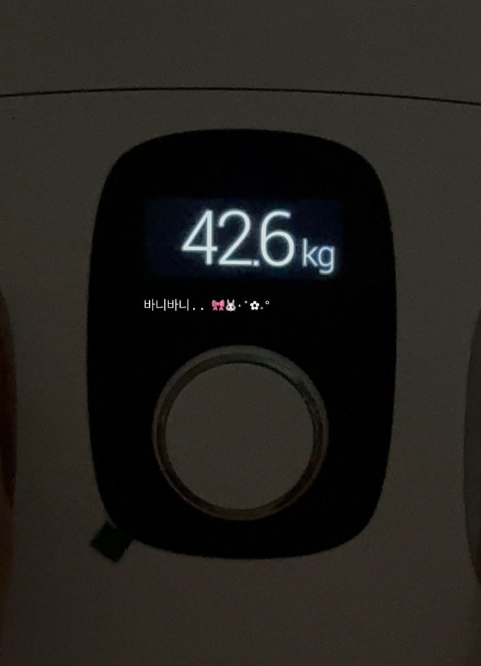 故 최진실 딸 최준희, 96kg→42kg대 몸무게 인증 “독기 가득하게”