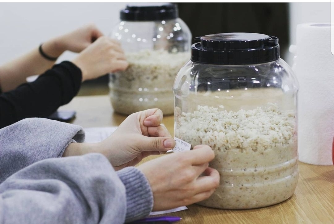 Brewing heritage: How Korea’s traditional alcohol is finding new life