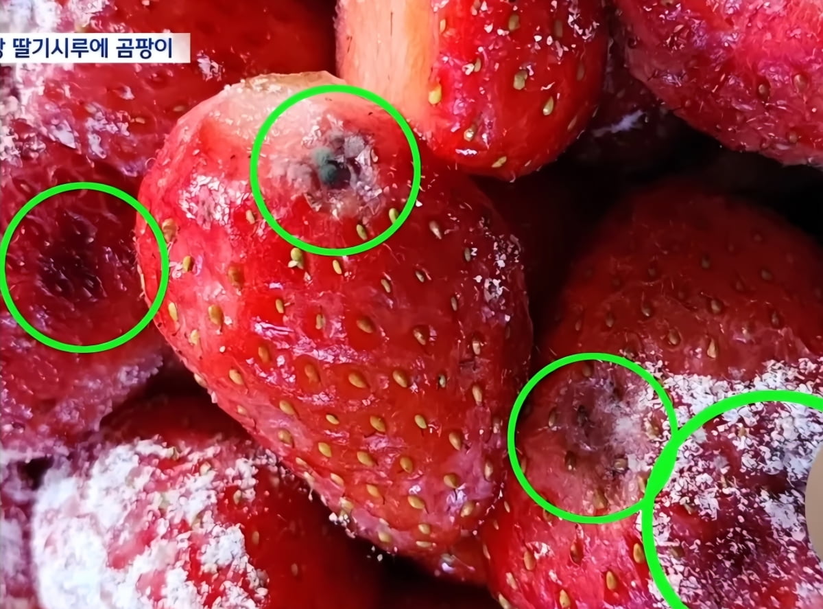 성심당 '딸기시루' 불티나게 팔리더니 '발칵'…결국 판매 중단