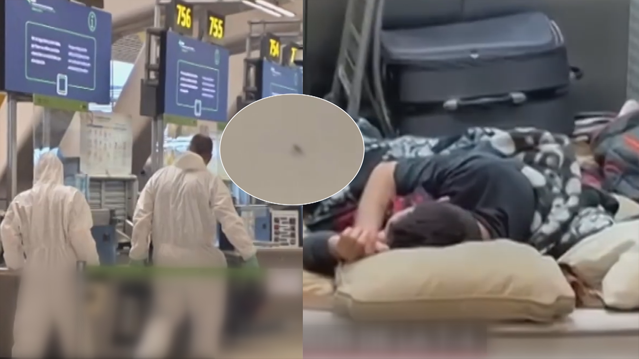 '노숙자 천국' 마드리드 공항…터미널 벼룩·진드기 '득실'