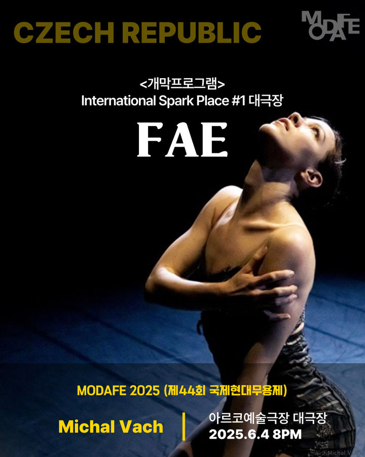 국제현대무용제 내달 개최… 국제 공모에 31개국 83개팀 지원