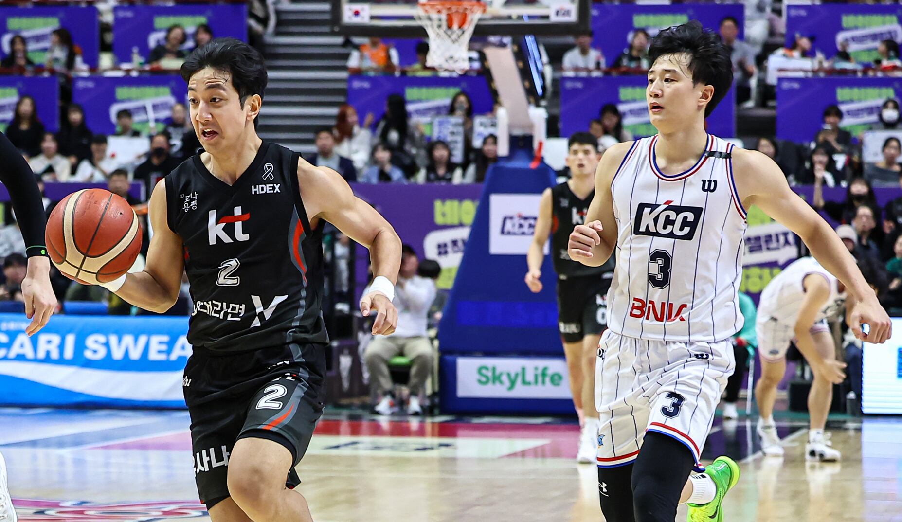 허씨 형제 한솥밥 먹는다… ‘FA 최대어’ 허훈, 친형 허웅 있는 KCC로