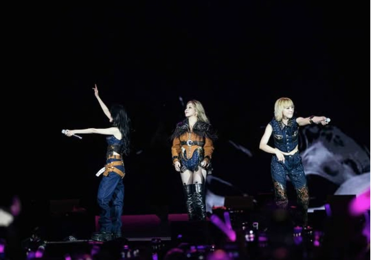 “봄이 없지만 불은 붙었다” 2NE1, LA서 3인 완전체 무대 찢었다