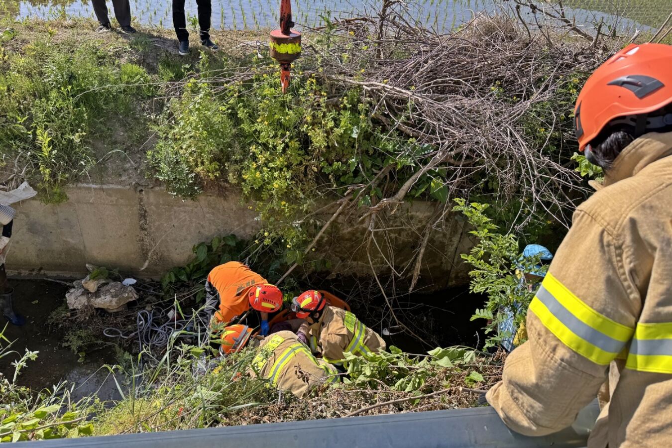 전북 노인 일자리 참여자 잇단 사망… ‘안전관리’ 도마 위