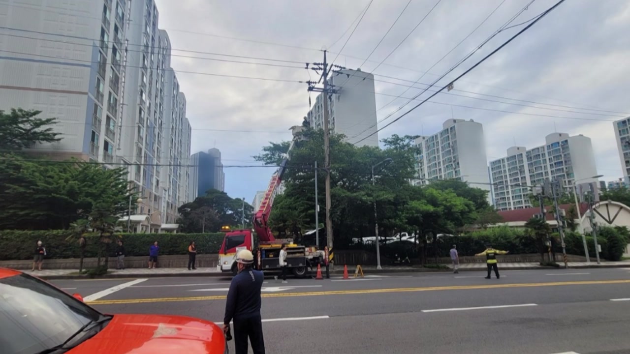 까마귀 탓에 제주 아파트 정전...승강기 갇힌 주민 3명 구조