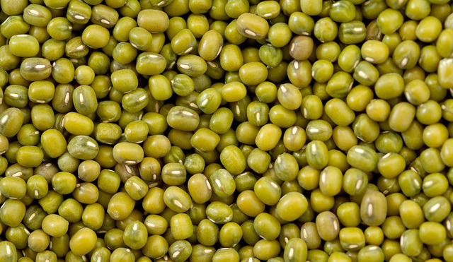 올 FTA 피해보전직불금 품목 ‘녹두’