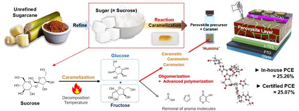 성균관대-UNIST, 천연 재료 기반 고성능 페로브스카이트 태양전지 개발