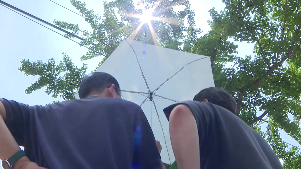 '118년 만의 폭염' 찾아온 서울, 바다도 '펄펄'...올여름 어디까지?