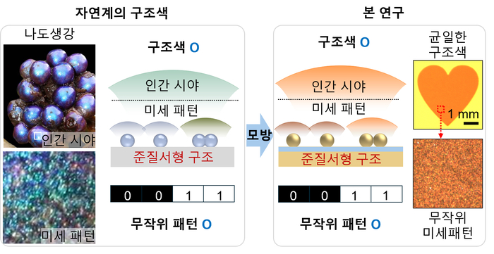 GIST-KAIST, 복제 불가능한 '광학지문' 보안 인증기술 개발
