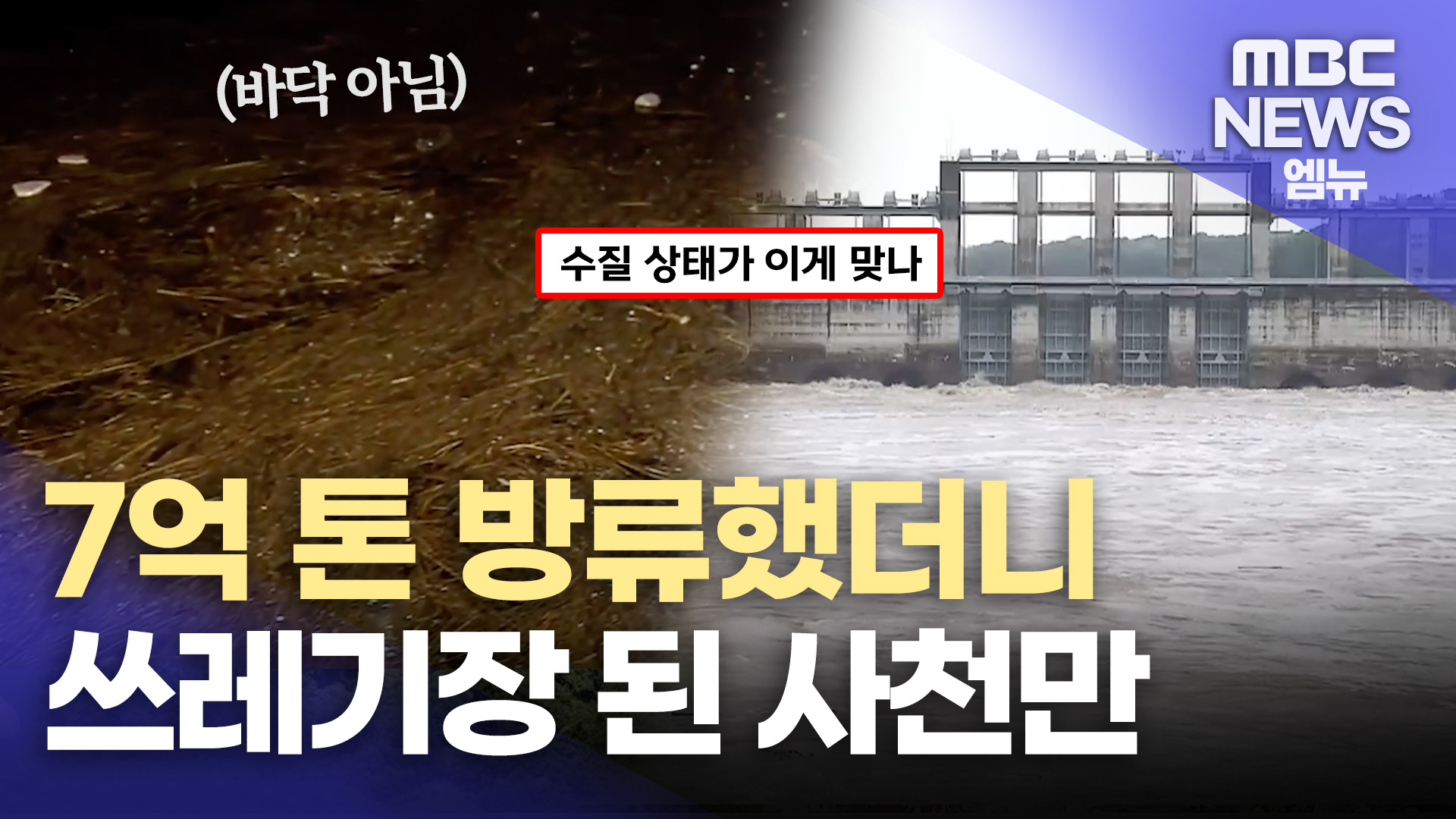 [ND:경남] 남강댐 7억톤 방류에 쓰레기장 된 사천만‥어업 ′직격탄′