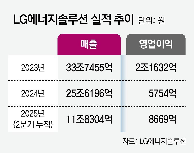 LG엔솔, 테슬라에 6조원 LFP배터리 공급… 中독주에 제동