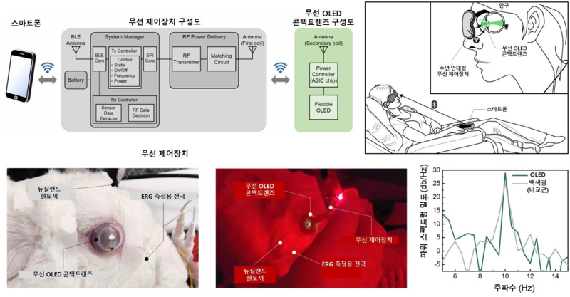 [쿠키과학] '키우기만 해도 망막검사'… KAIST, 'OLED 콘택트렌즈' 세계 최초 개발