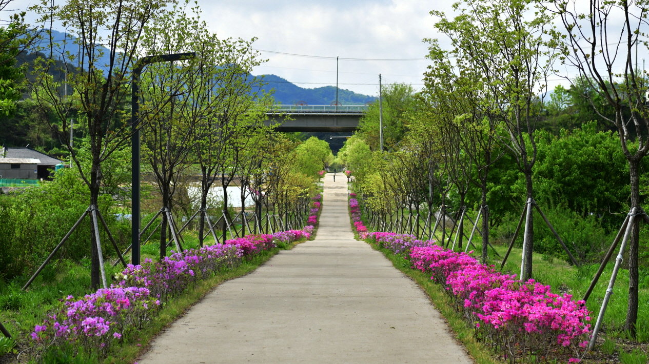 원주 폐철도 11.3㎞의 변신…치악산 바람길숲 23일 전구간 개통