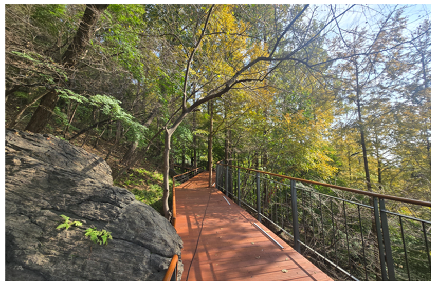 편안한 남산 산책길 열려요···도심~남산 잇는 무장애산책로 ‘남산 하늘숲길’ 25일 개통