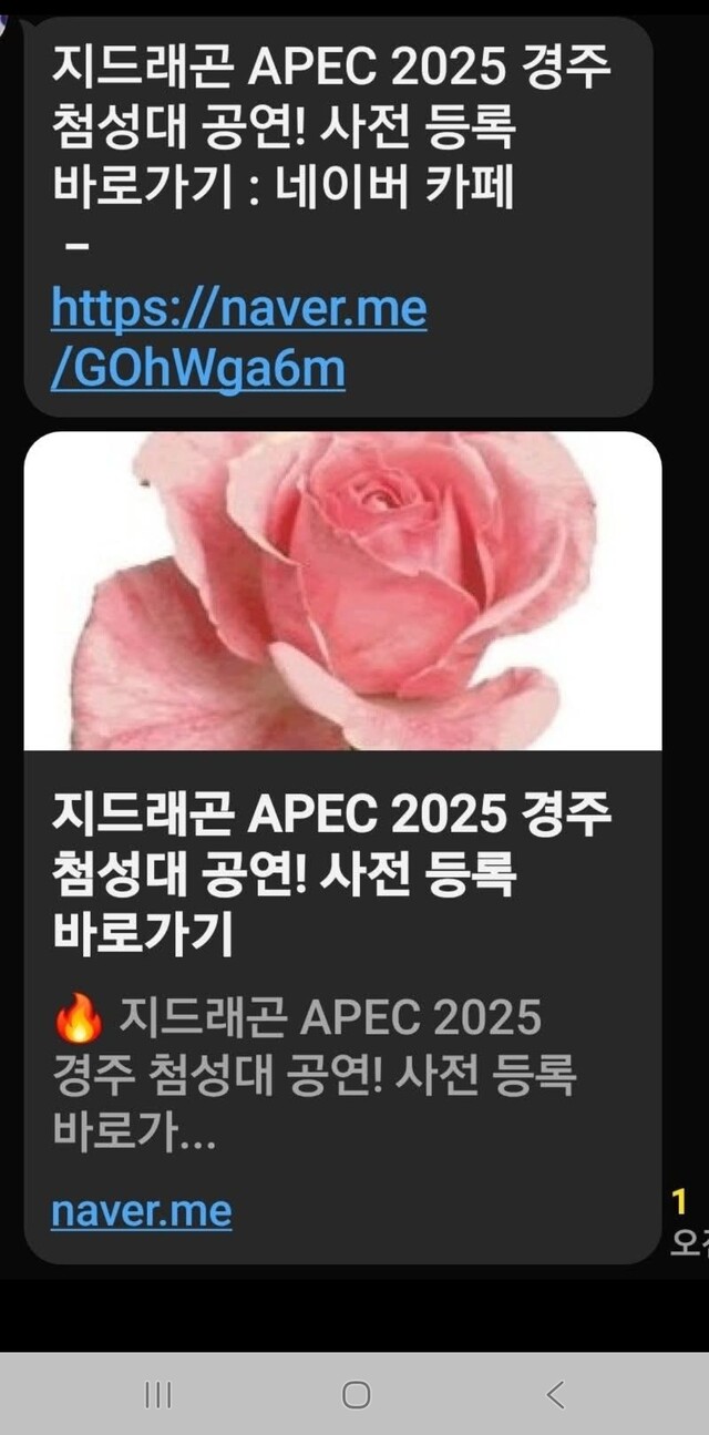 [비하인드 경주 APEC] APEC 환영 만찬에 ‘지드래곤 공연’…가짜뉴스엔 신속 대응하며 품격 지켜