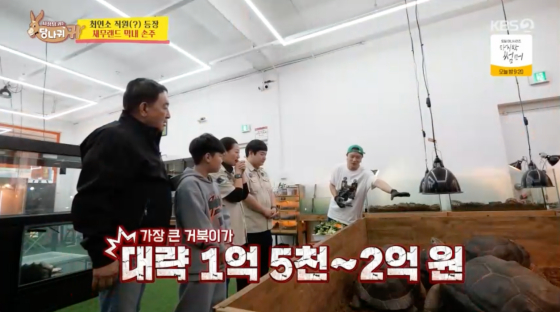 '190억 빚' 임채무, 아웃사이더 '2억' 거북이에 충격.."밥값만 300만 원"[사당귀][★밤TView]