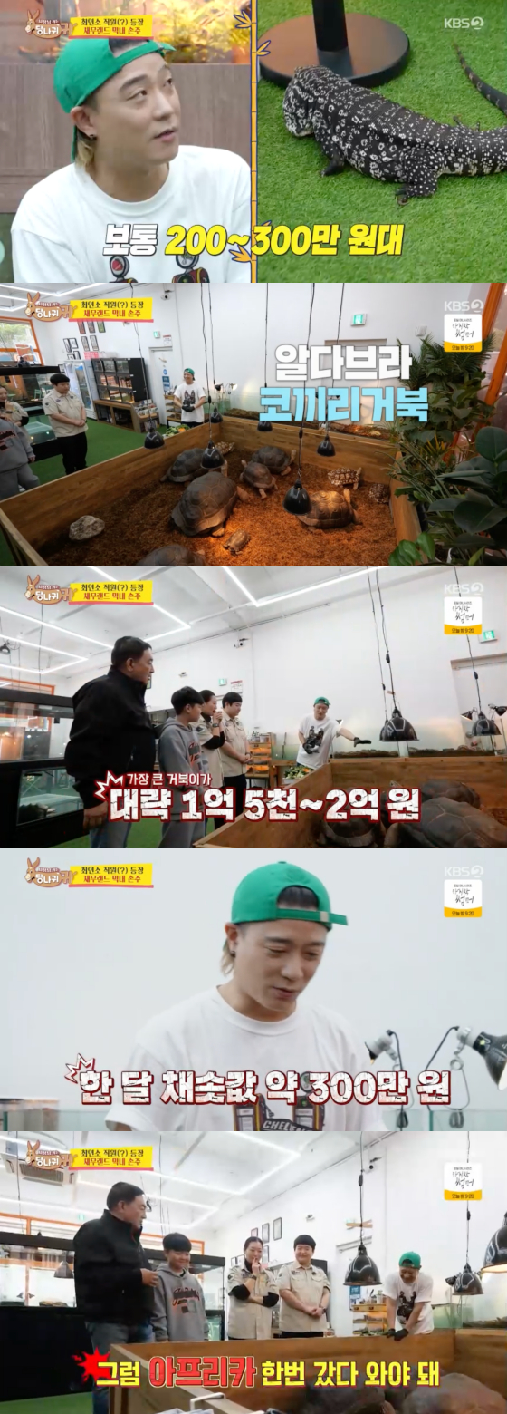 '190억 빚' 임채무, 아웃사이더 '2억' 거북이에 충격.."밥값만 300만 원"[사당귀][★밤TView]