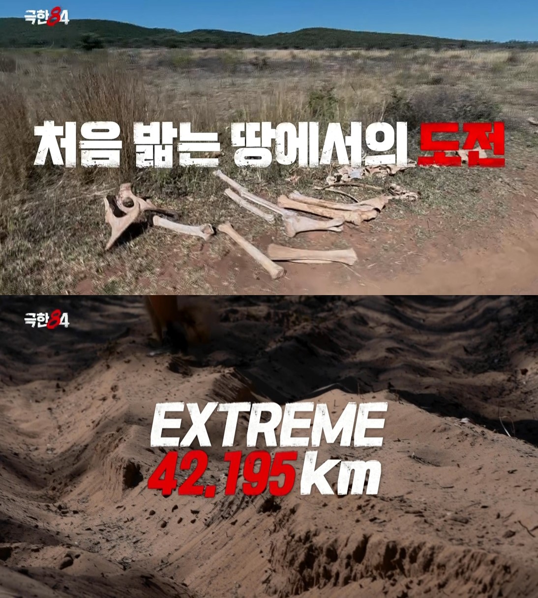 기안84 "이걸 뛰라고?"…인간의 한계vs극한의 자연 맞부딪힌다 (극한84)