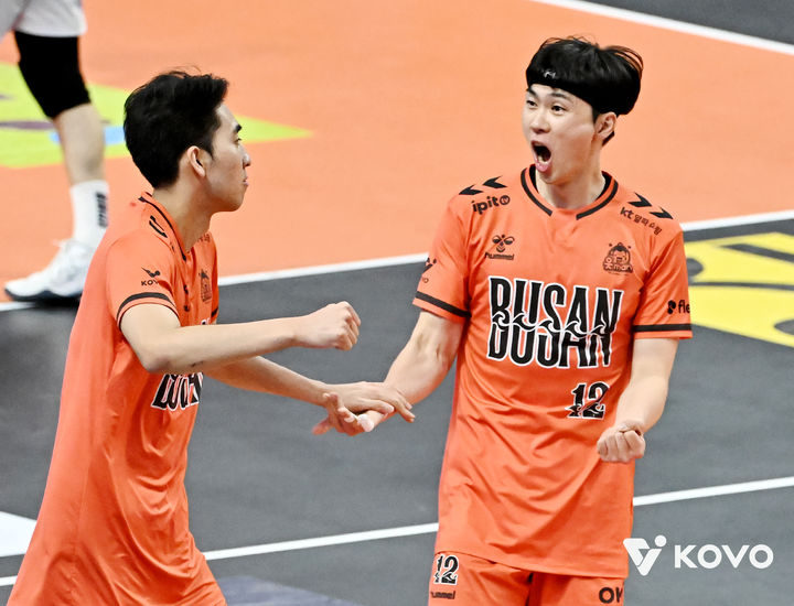 OK저축은행, 삼성화재 3-0 완파…신영철 감독 '300승' 달성