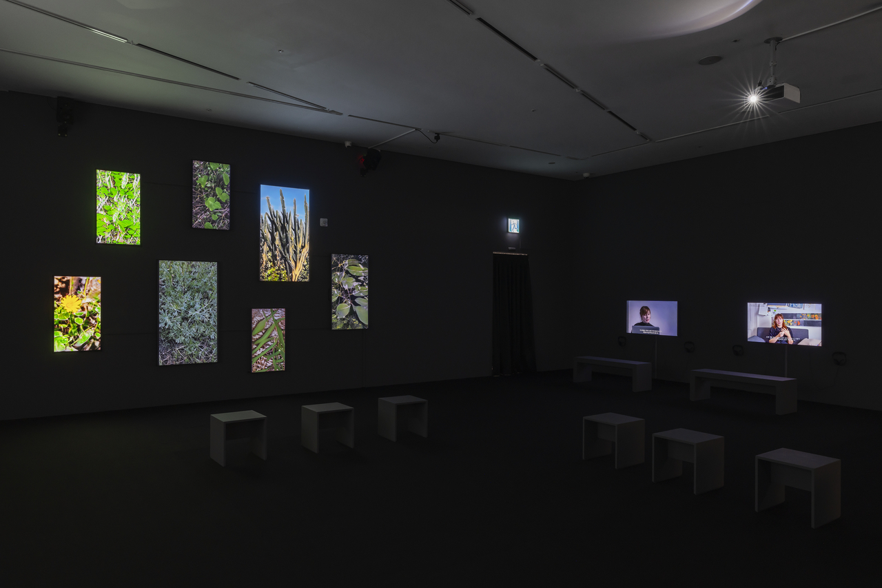 SeMA explores how art becomes knowledge through research-based practice