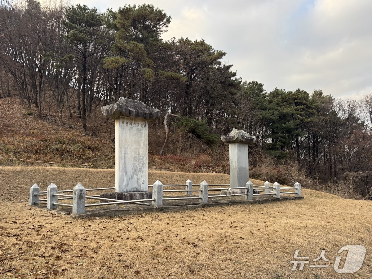 파주시, 조선시대 임천조씨 묘역 신도비 2기 향토유산 지정 추진
