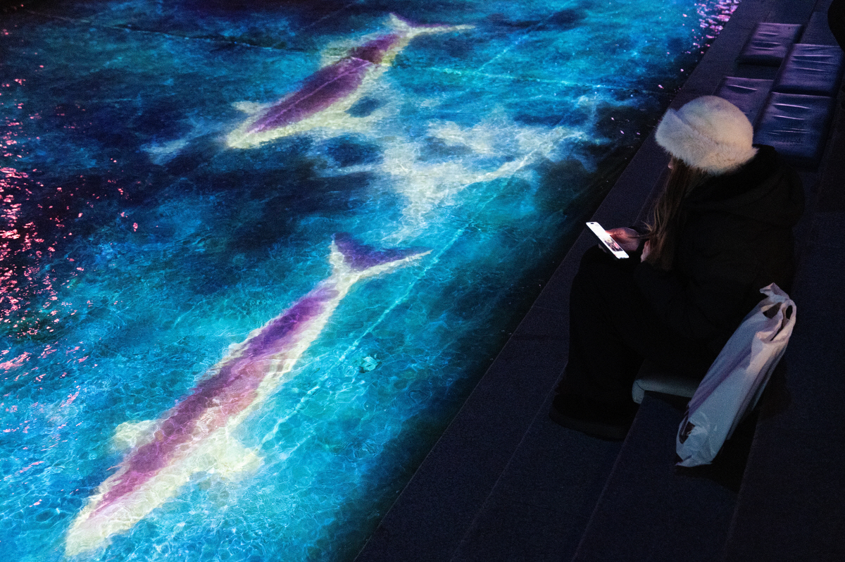 "1월에도 즐겨요" 서울관광재단, 청계 소울 오션 연장 운영