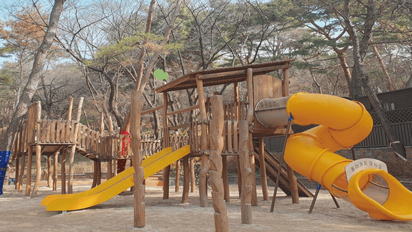 "아이와의 겨울 여행, 잊지 못할 추억을 위한 BEST 4" | 여행톡톡