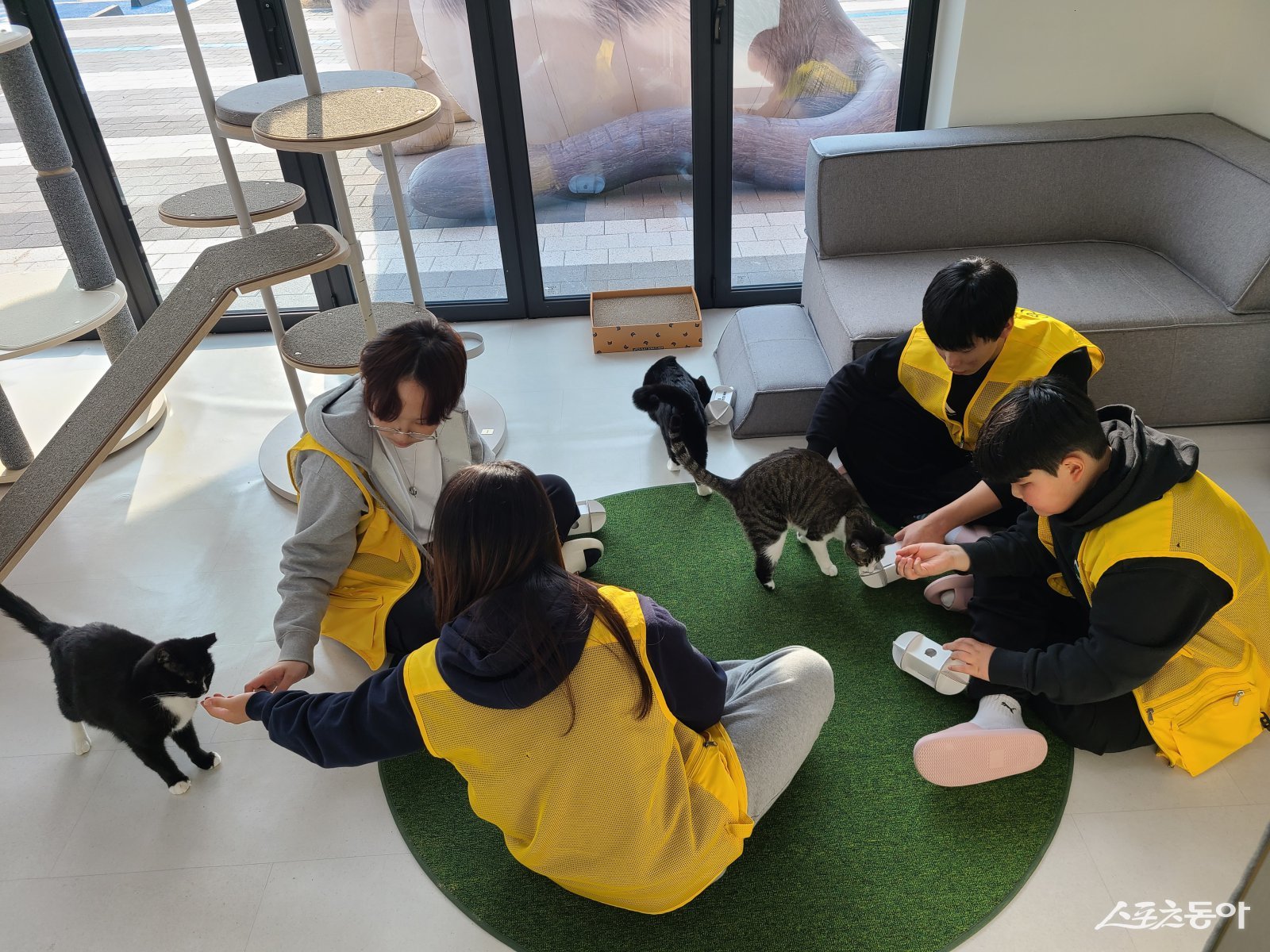 경기도, 유기동물과 겨울방학 청소년 자원봉사 운영