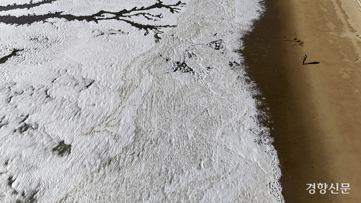 다시 한파 “와~ 바다가 얼었다” [정동길 옆 사진관]