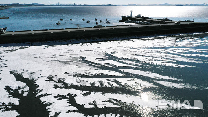 동장군이 갯벌에 그린 수묵화 [뉴시스Pic]
