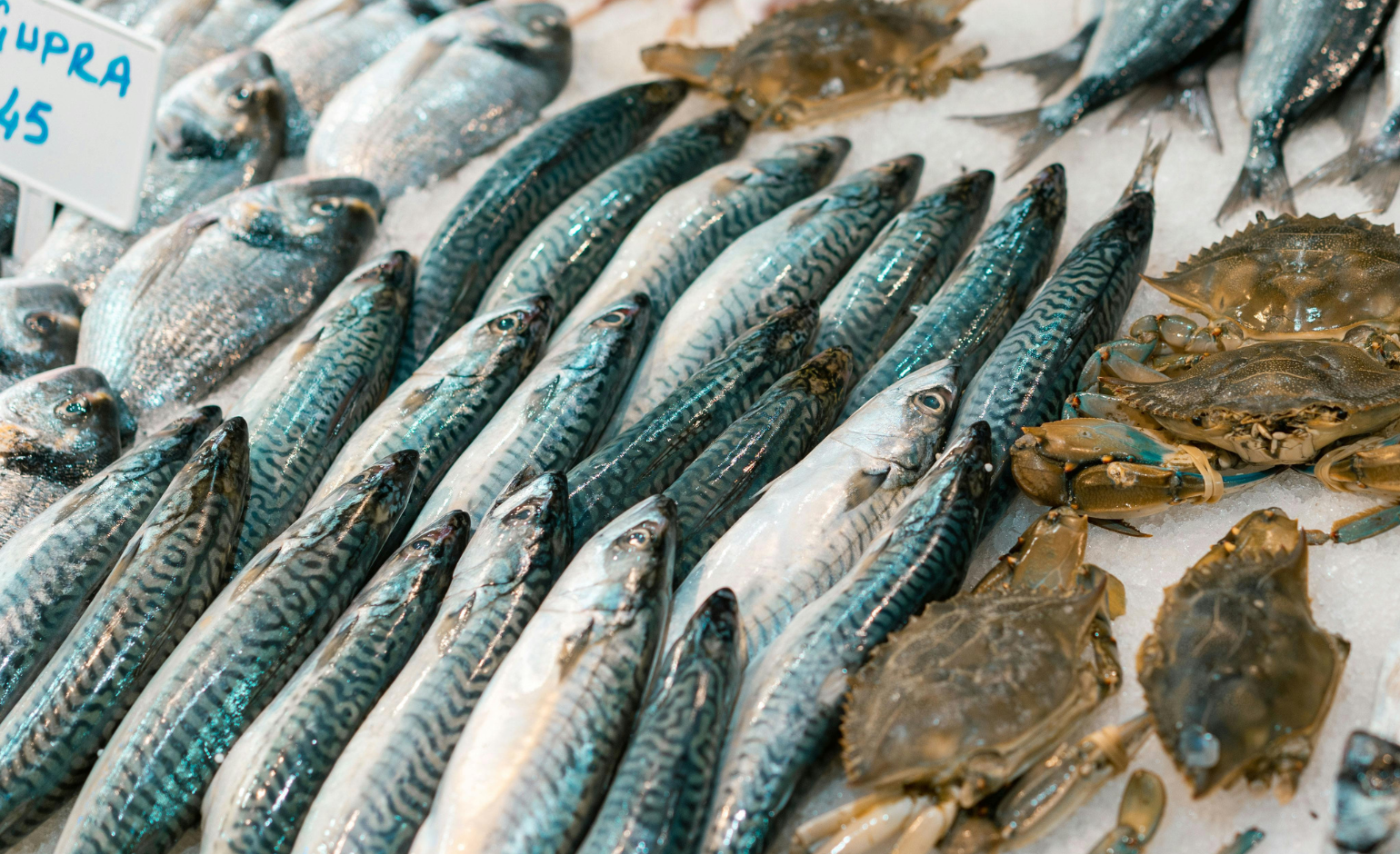 "술은 아무것도 아닙니다" 통풍환자들이 피해야할 의외의 음식들 | 라이프업