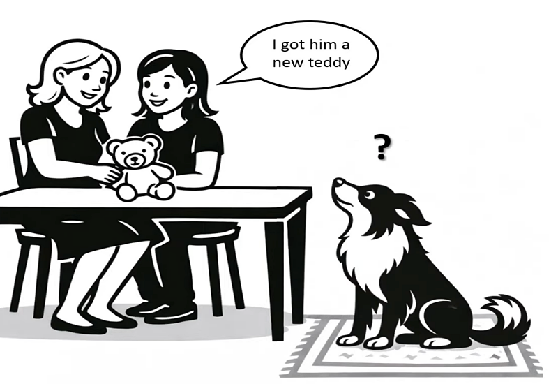 주인 말 엿듣고 학습...개의 놀라운 능력 | 스푸트니크