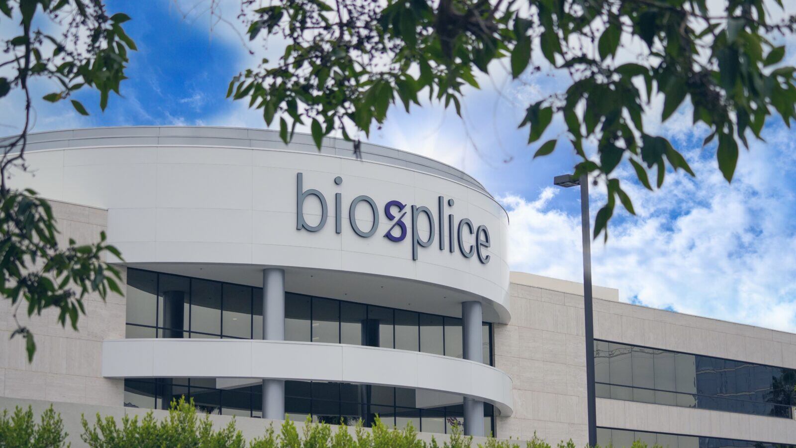 ‘연골 재생’ 세계 최초 타이틀 경쟁…美 출사표에 韓 속도