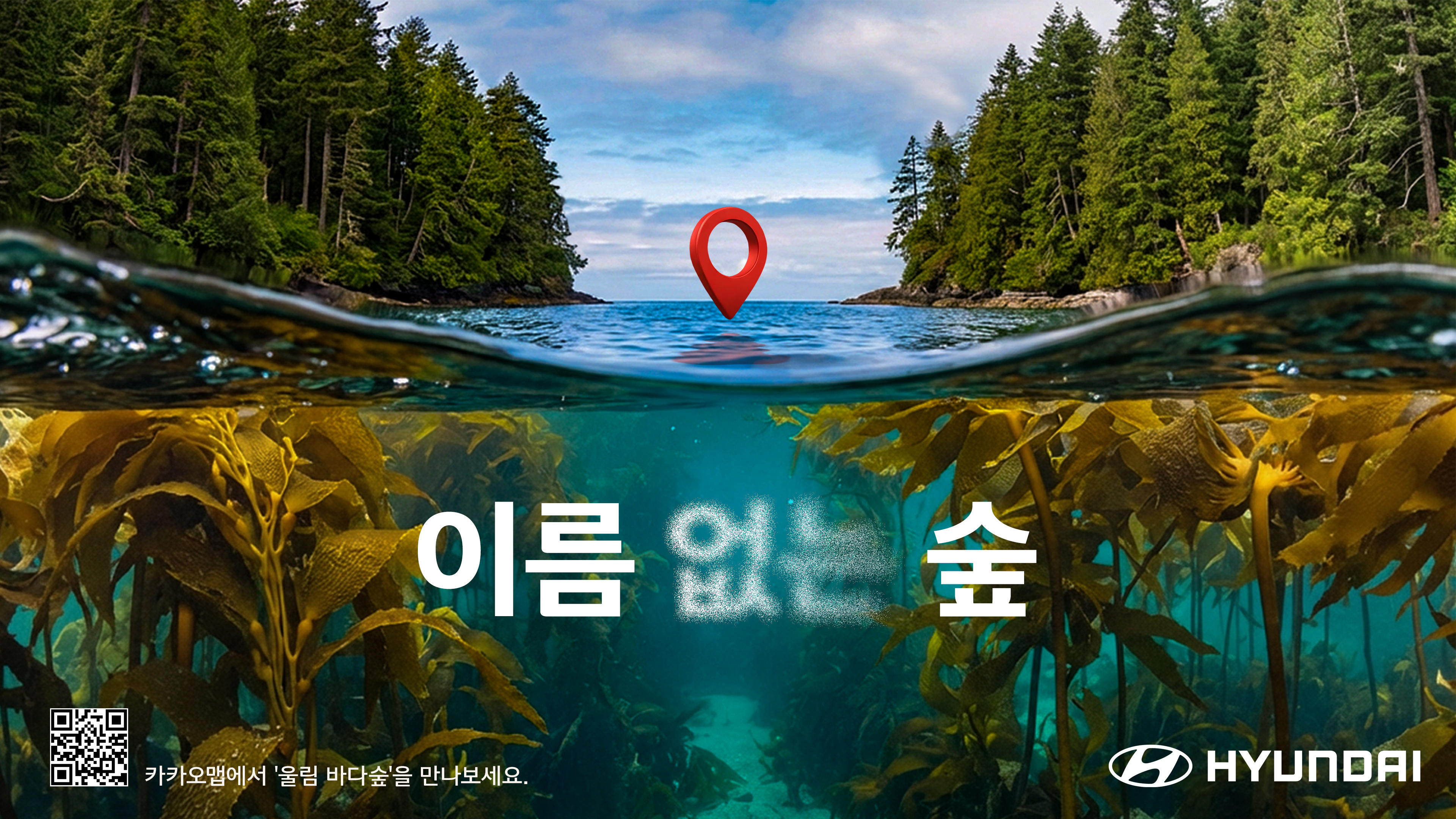 현대차, '바다숲'으로 해양 생태계 보전 나섰다
