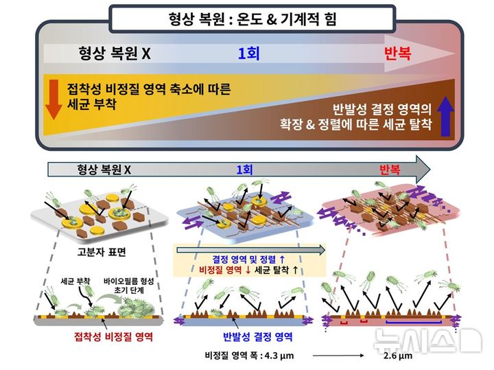 인체 삽입 의료기기, 세균 침투 막는 소재 나왔다