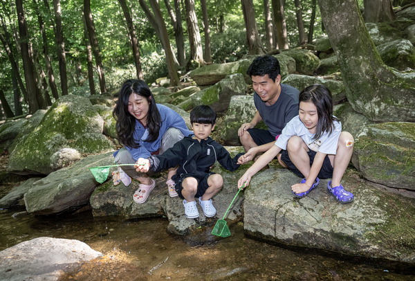 태백~부산 생태축 화룡점정…산·강 연계 관광도 영근다