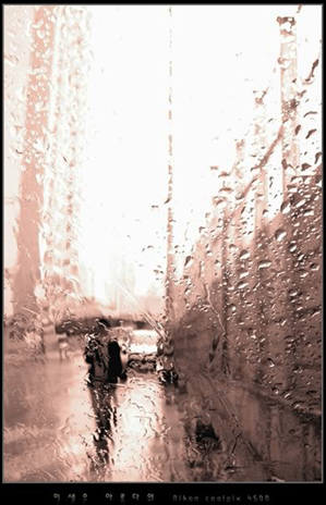 [스크랩] Rain & Tears