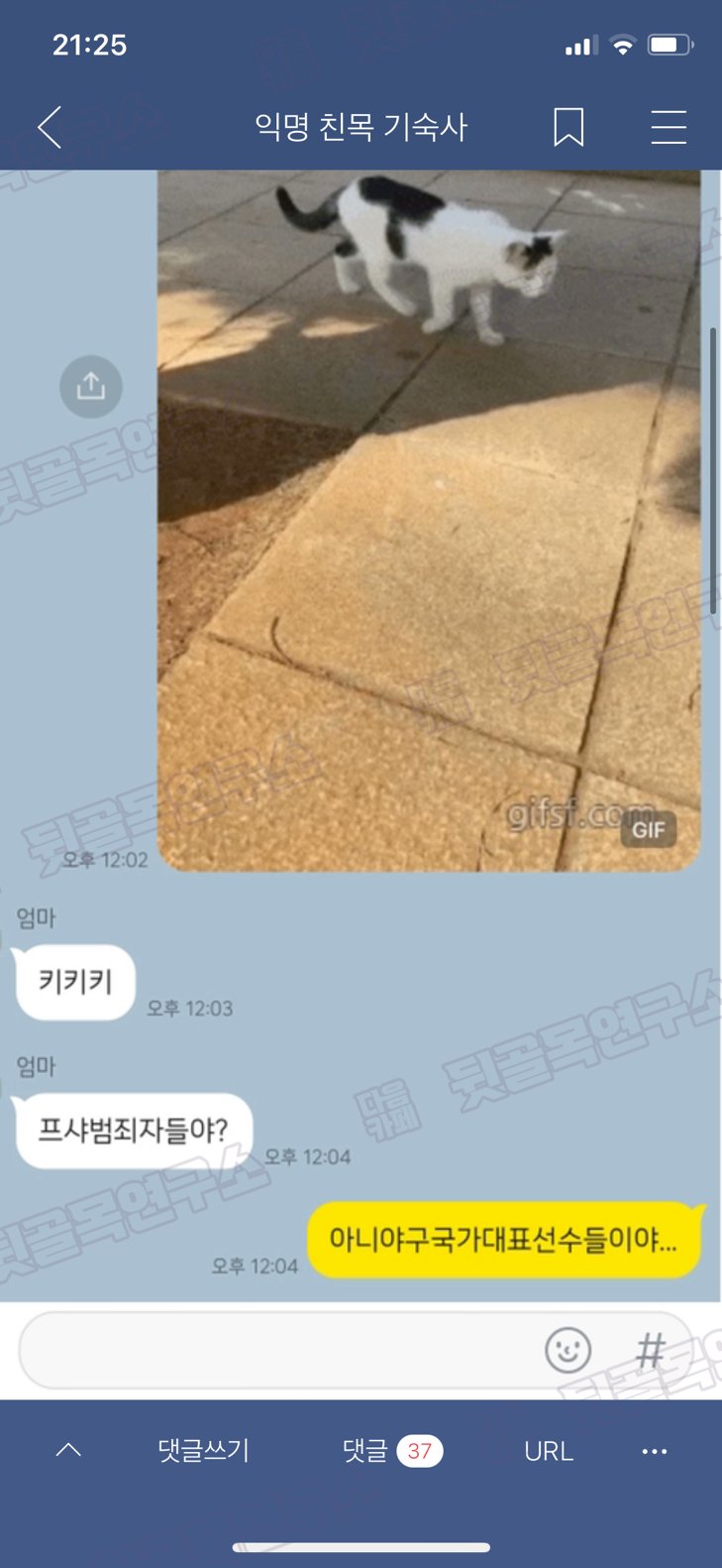 유머일번지 야구선수들 웃겨서 프사로 해놨는데 엄마한테 오해받음 Daum 카페