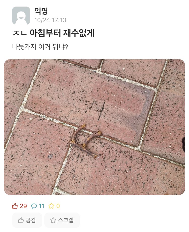 유머일번지 시험기간이라 예민한 대학생 Daum 카페