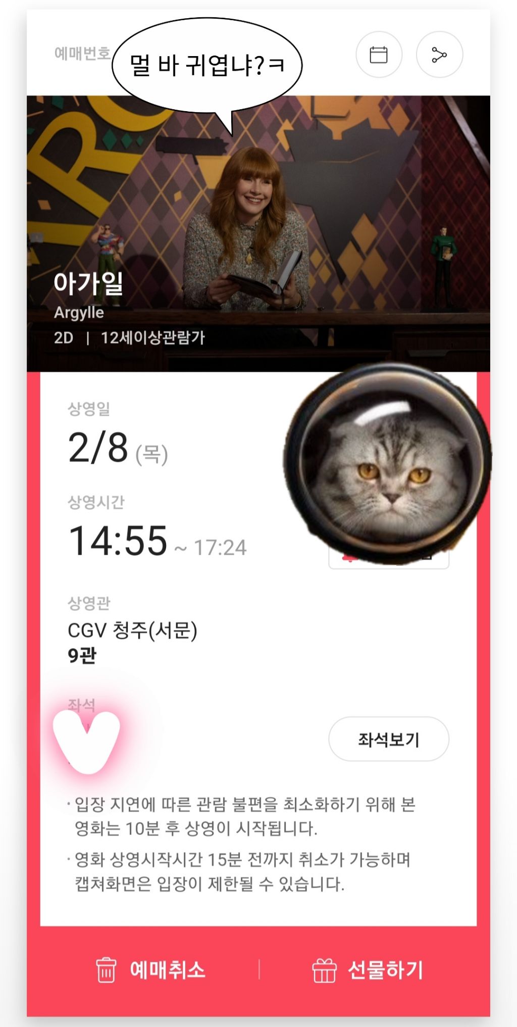 혹시 영화 좋아하세요 내일 볼 영화 Daum 카페