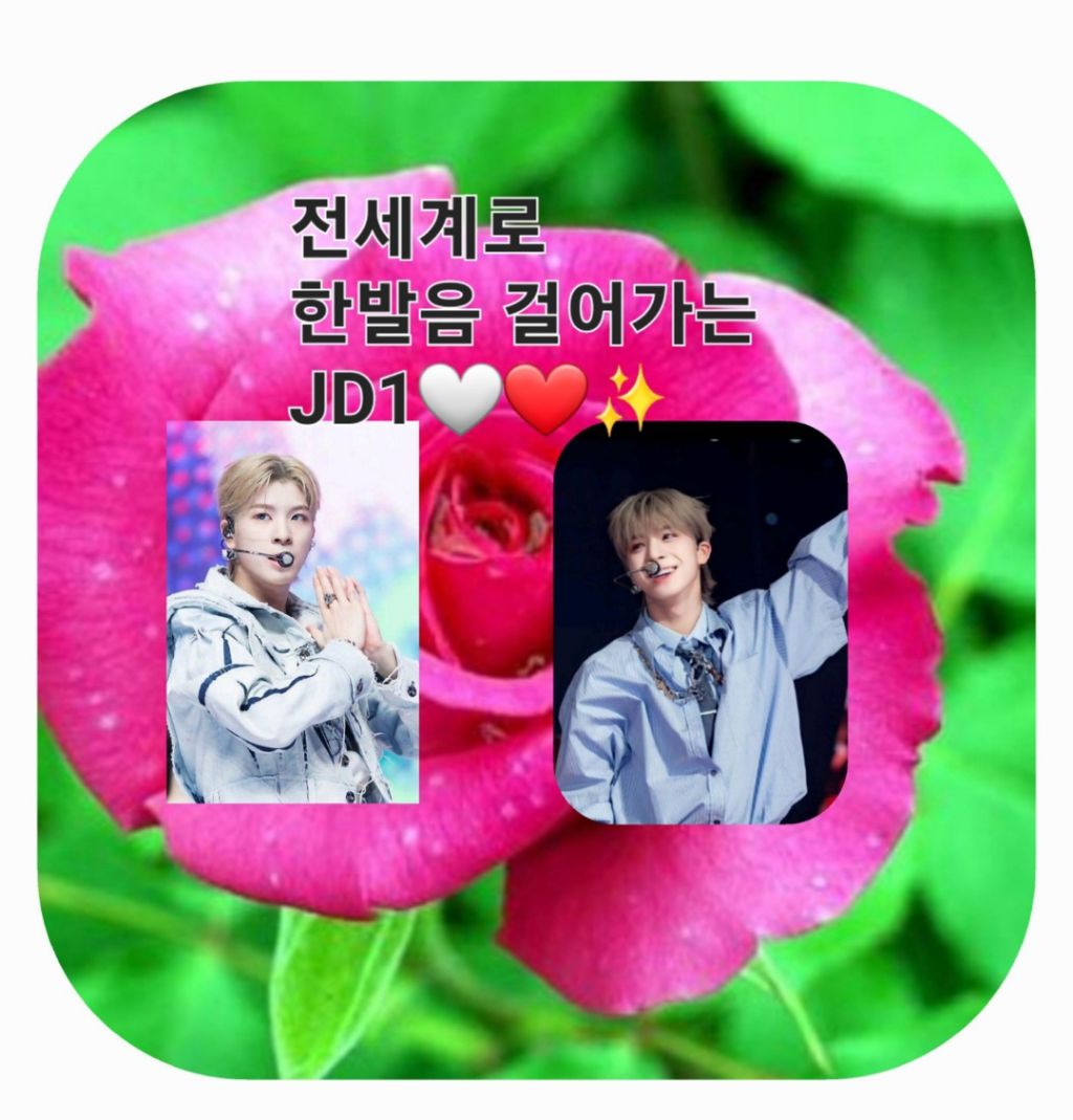 JD1 | JD1대만첫공연 대성공응원합니다 - Daum 카페
