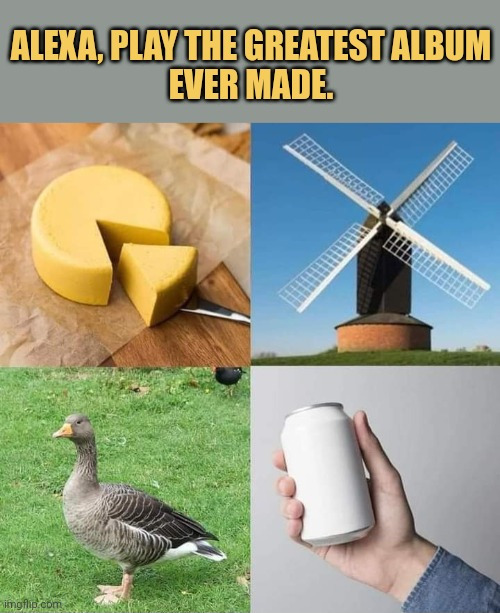 쭉빵카페 활중 모임 | These Hilarious Memes Will Have You Rolling with Laughter ...