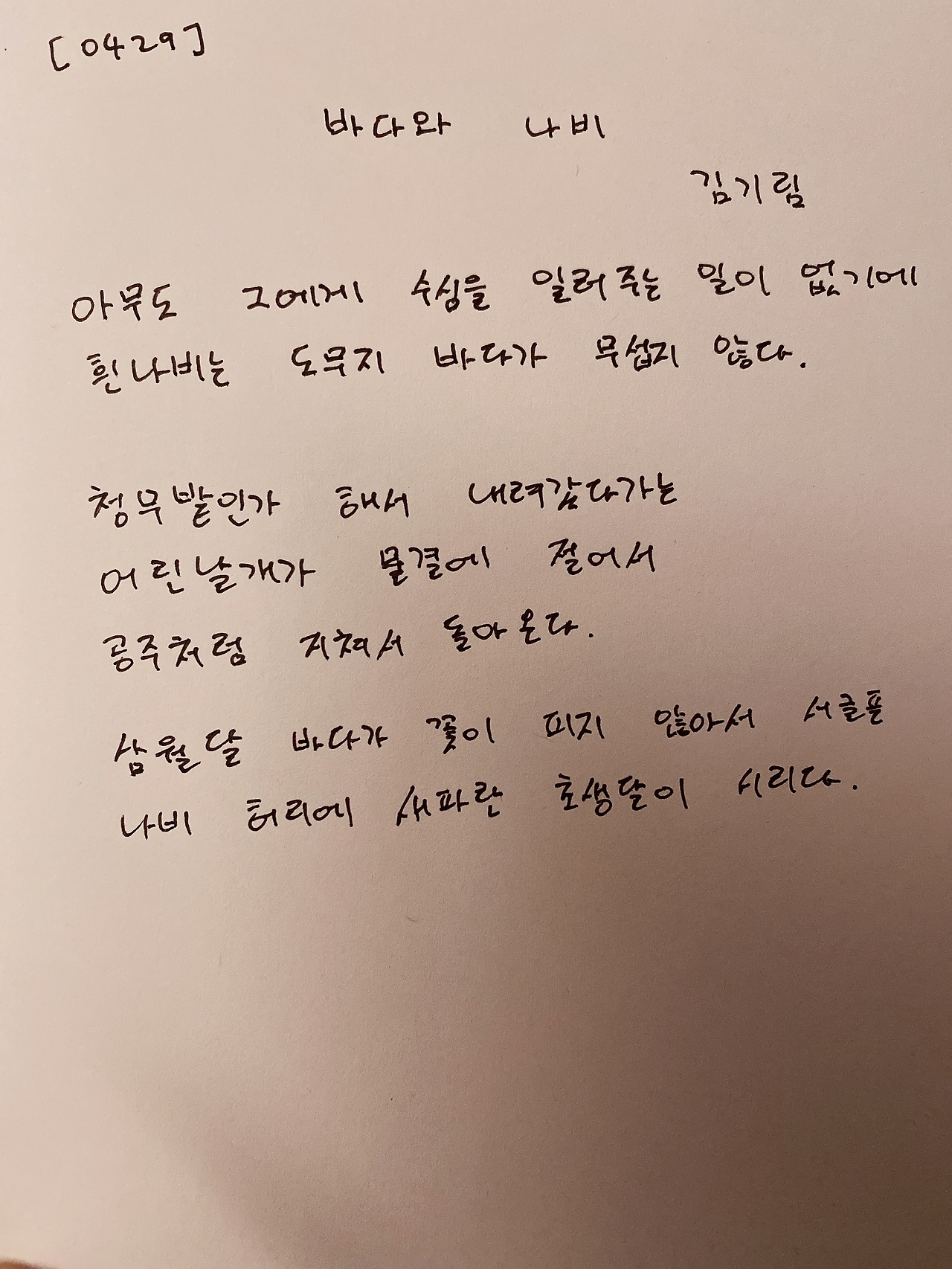 0429 바다와 나비