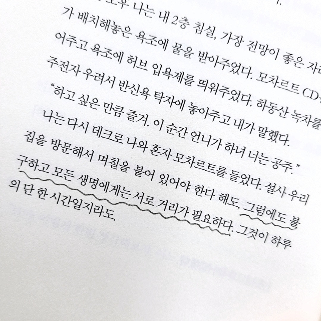 서로의 거리