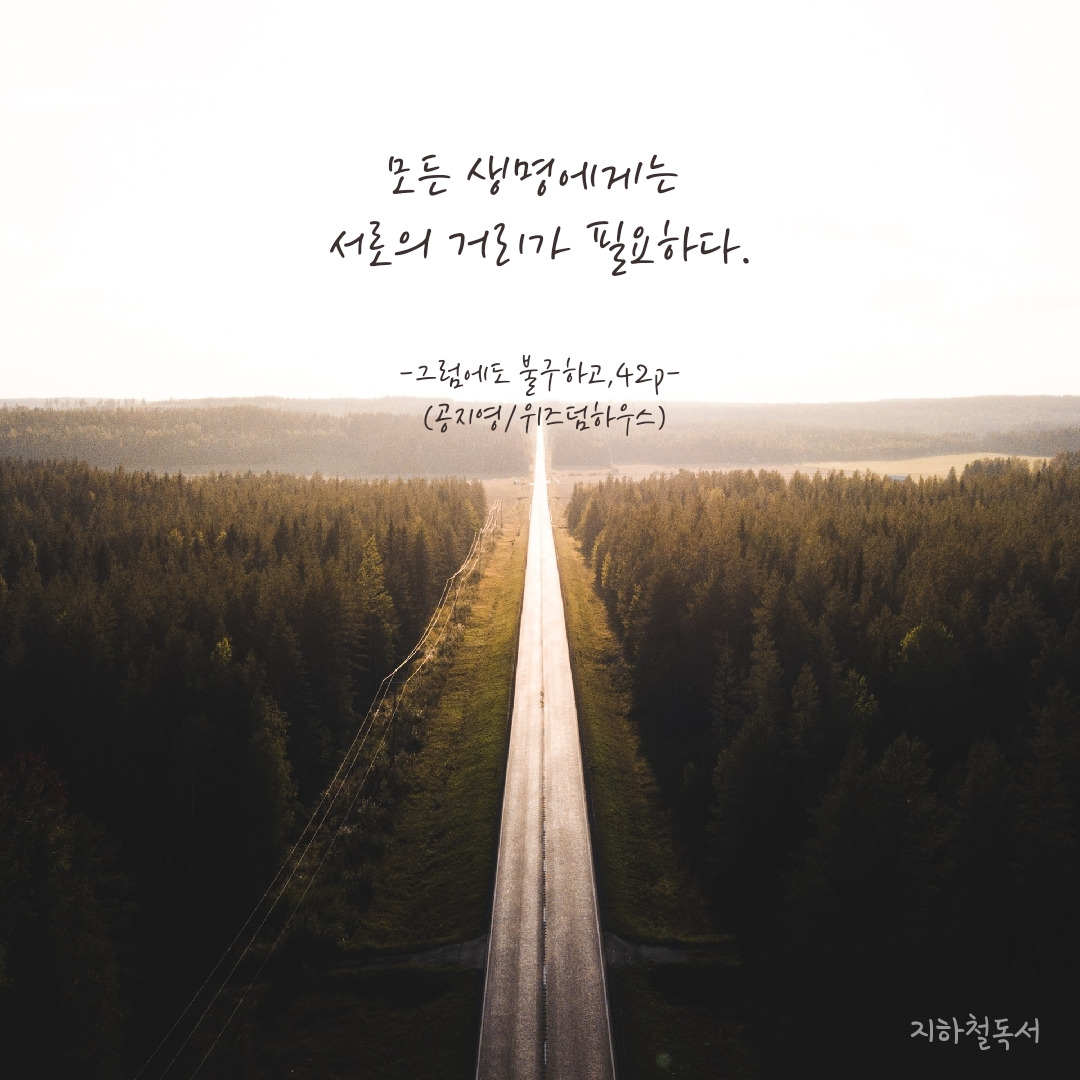 서로의 거리