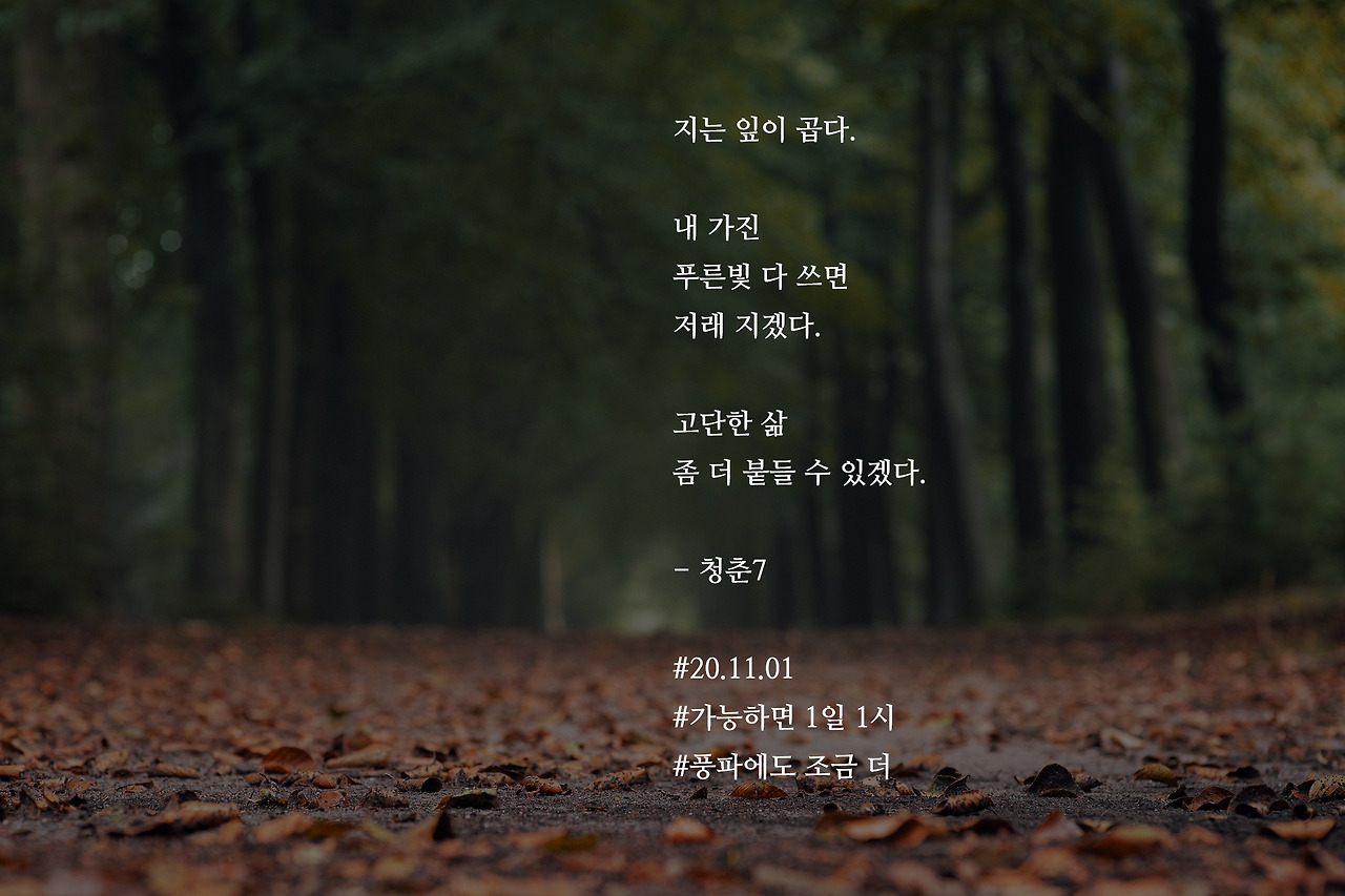 가능하면 1일 1시 청춘7