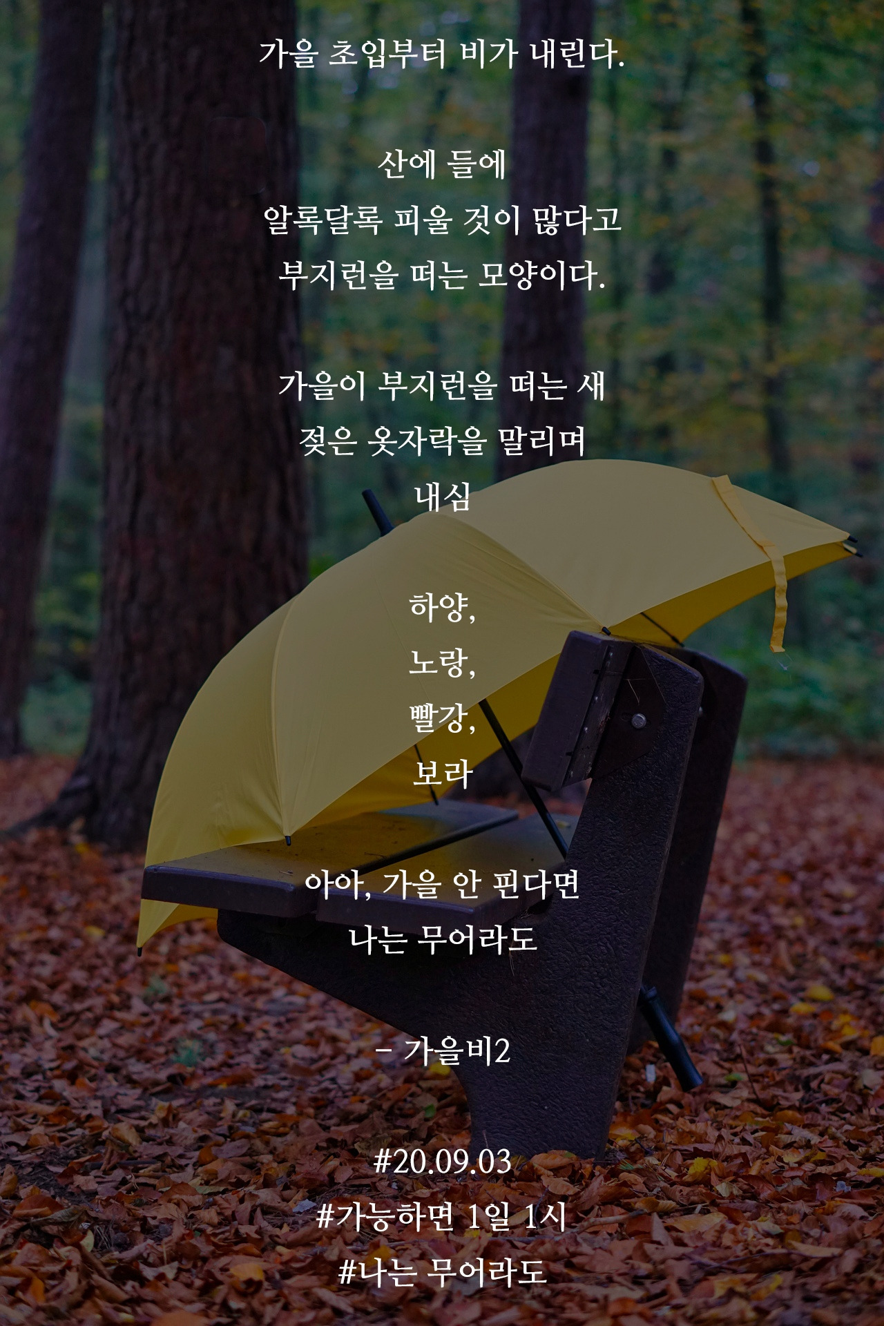 가능하면 1일 1시 가을비2